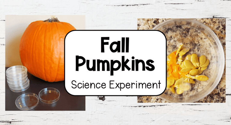 Spooky Halloween Science Experiments You Can Do At Home